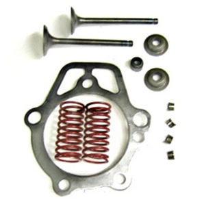 (0D24890ESV) Generac | Valve Kit – Foards