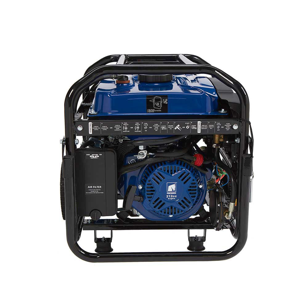 Powerhorse Dual-Fuel 4000-Watt Generator for Sale – Foards