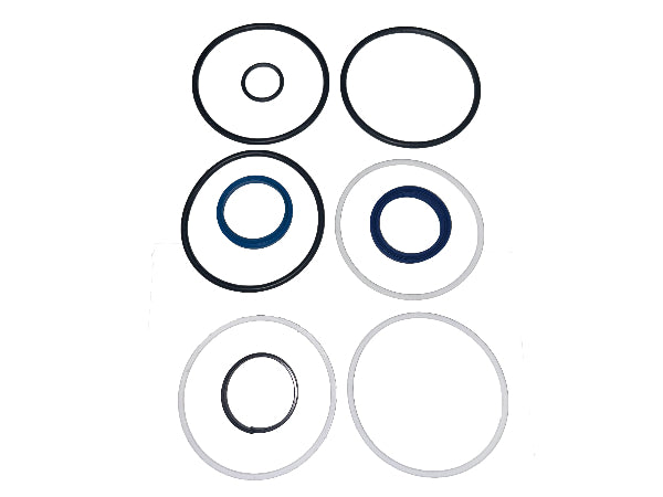 (LSP2001-08000-999) CYLINDER SEAL KIT – Foards