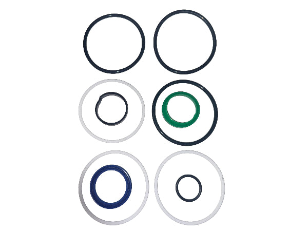 (LSP22-08000-999) CYLINDER SEAL KIT – Foards