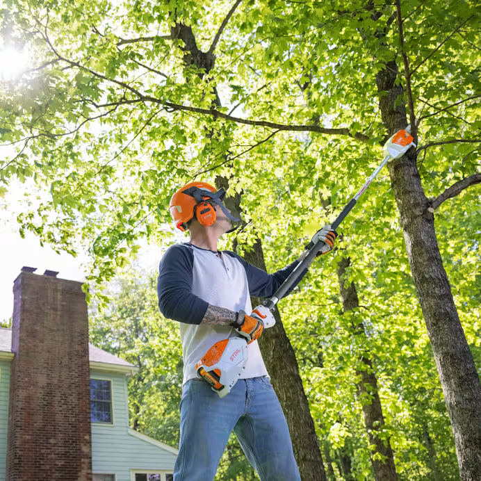 Stihl | HTA 66 Battery Pole Pruner | w/ AP 200 battery & AL 301 charge ...