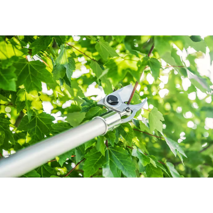 Stihl | PP 101 Long Reach Pruner (7010 871 0407) – Foards